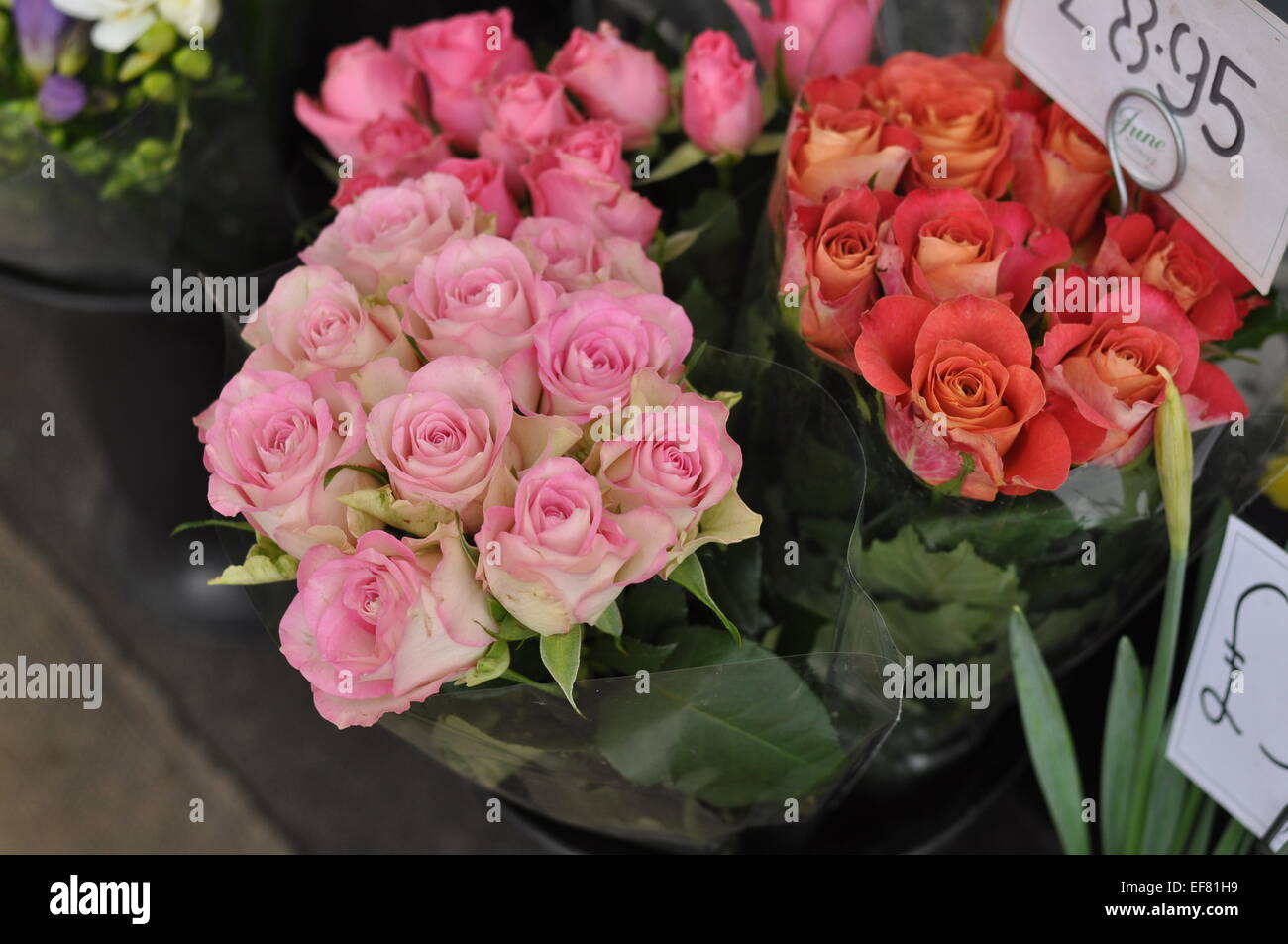Boquet of Pink and Red Roses at a Market Stock Photo - Alamy