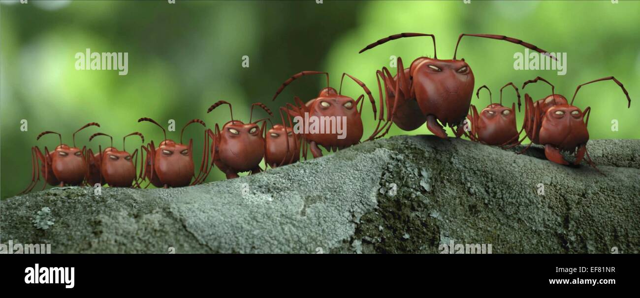 Valley Of The Lost Ants High Resolution Stock Photography and Images ...