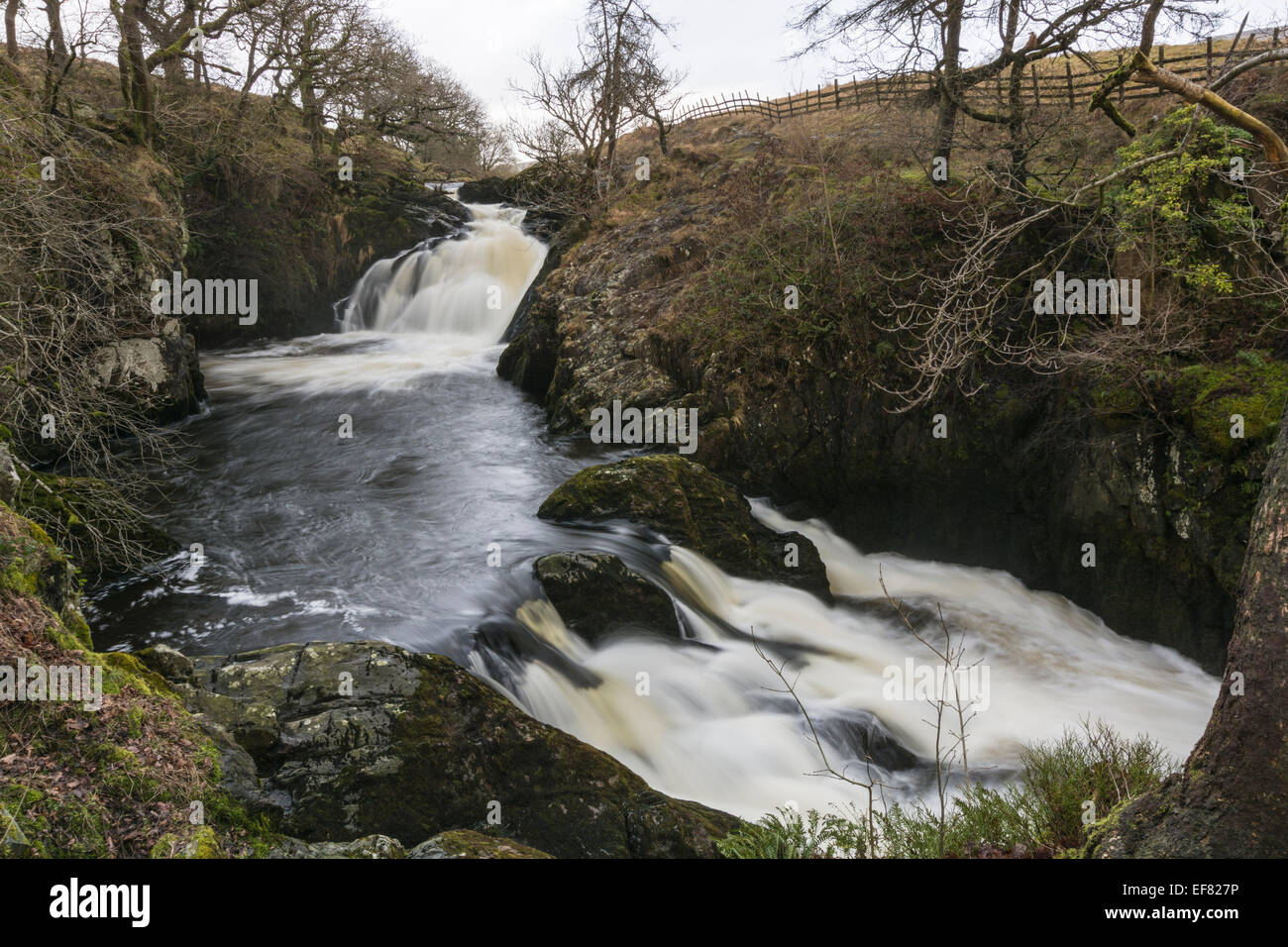 Beezley Falls on the famous Ingleton Waterfalls walk in the Yorkshire ...