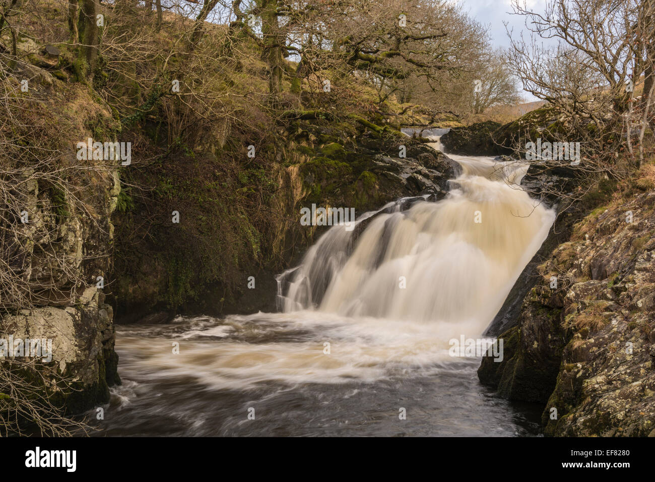 Beezley Falls on the famous Ingleton Waterfalls walk in the Yorkshire ...