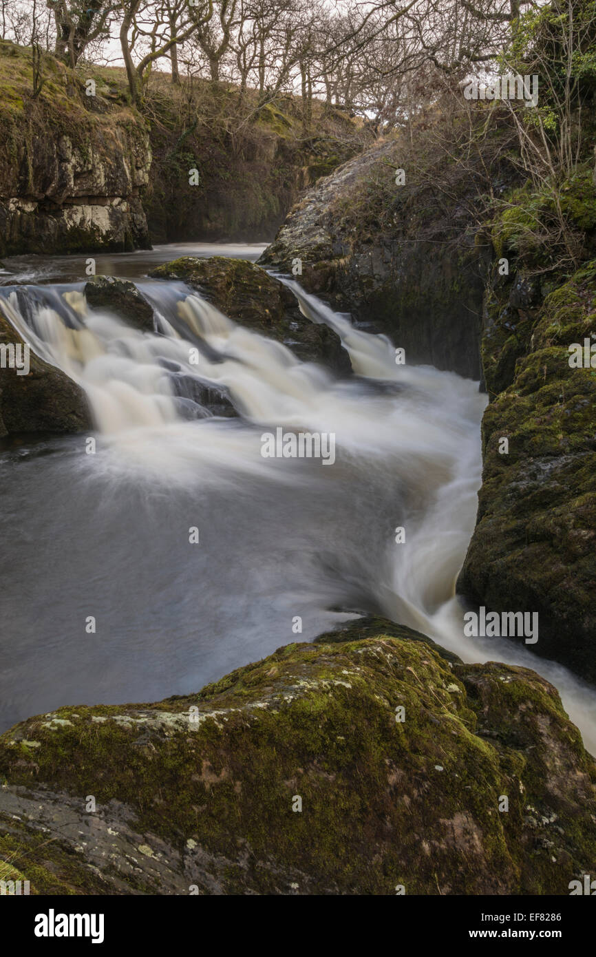 Beezley Falls on the famous Ingleton Waterfalls walk in the Yorkshire ...
