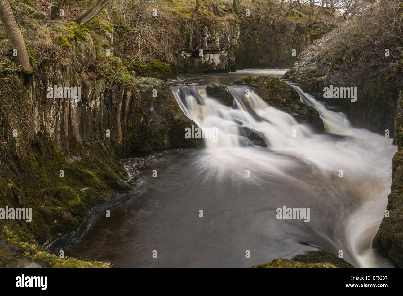 Beezley Falls on the famous Ingleton Waterfalls walk in the Yorkshire ...