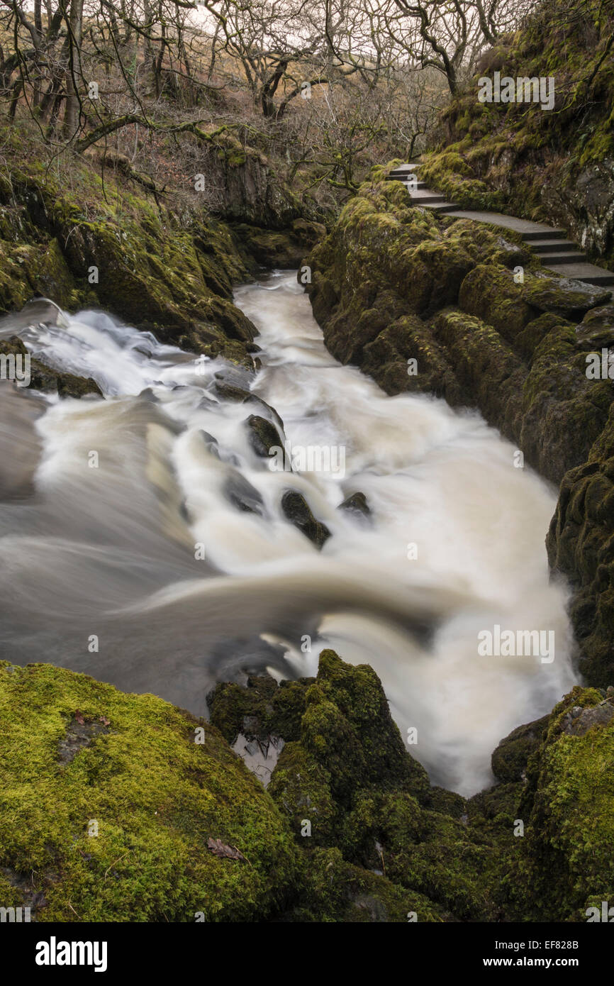 Rival Falls on the famous Ingleton Waterfalls walk in the Yorkshire ...