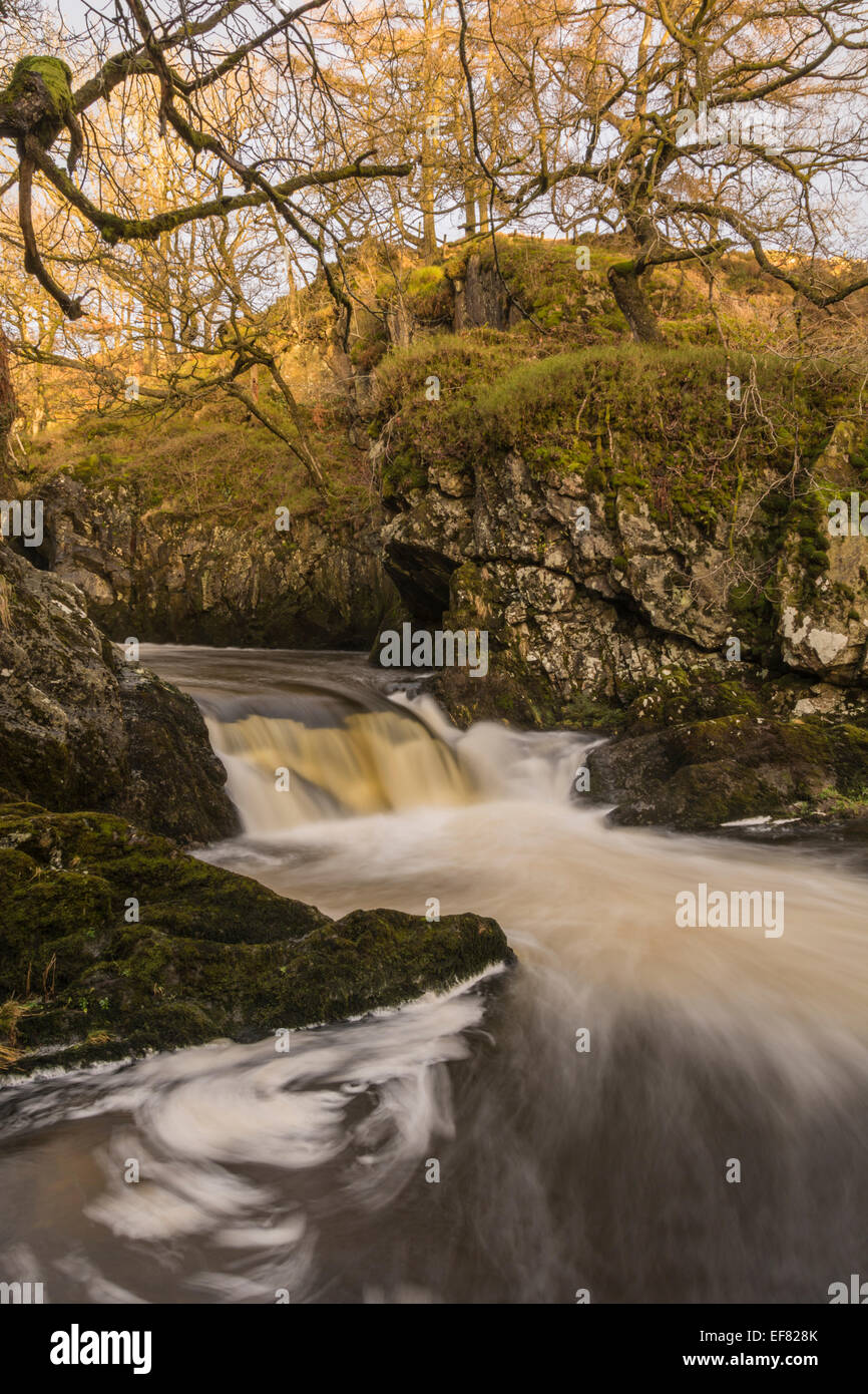 Snow Falls on the famous Ingleton Waterfalls walk in the Yorkshire ...
