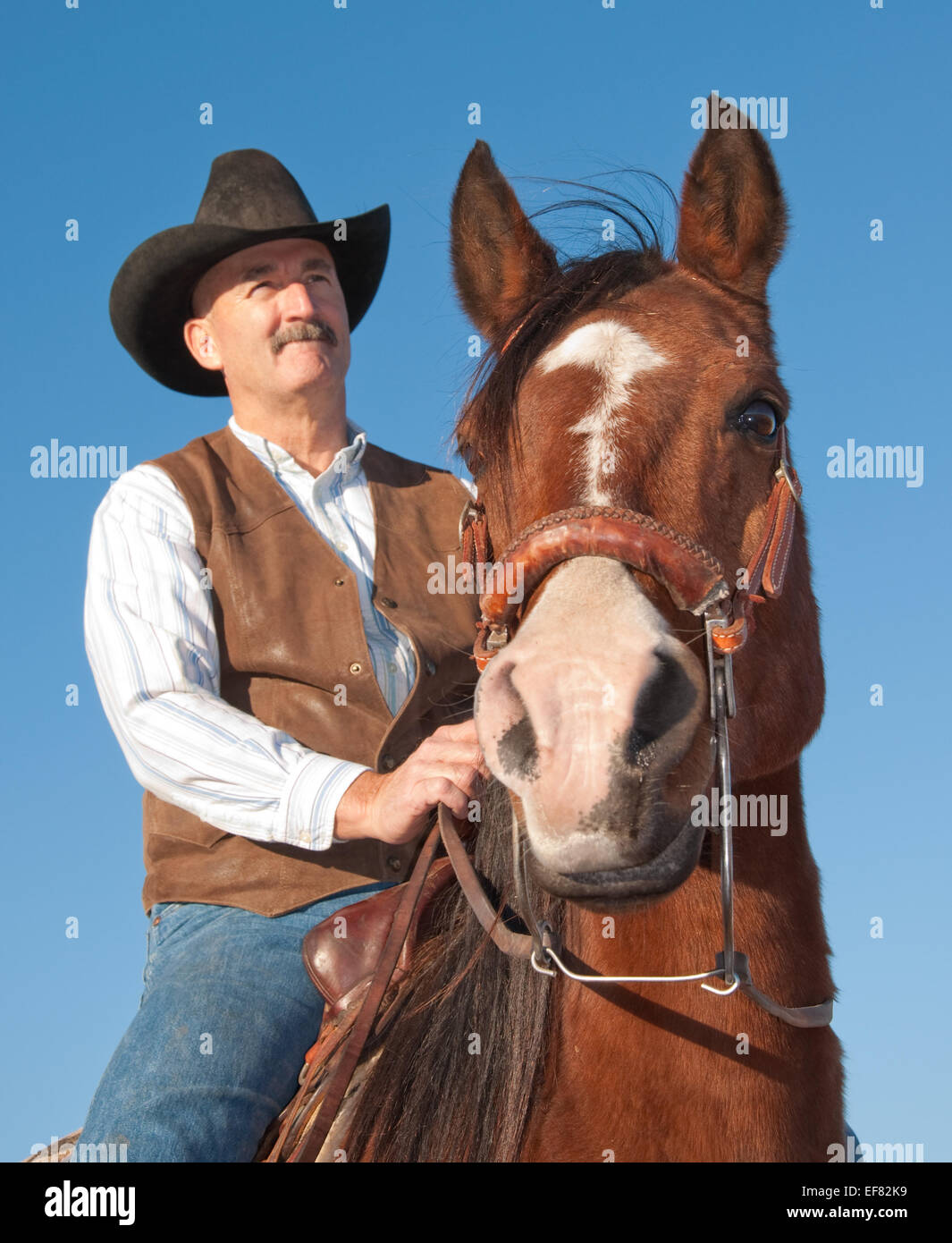 Black man riding a horse hi-res stock photography and images - Alamy