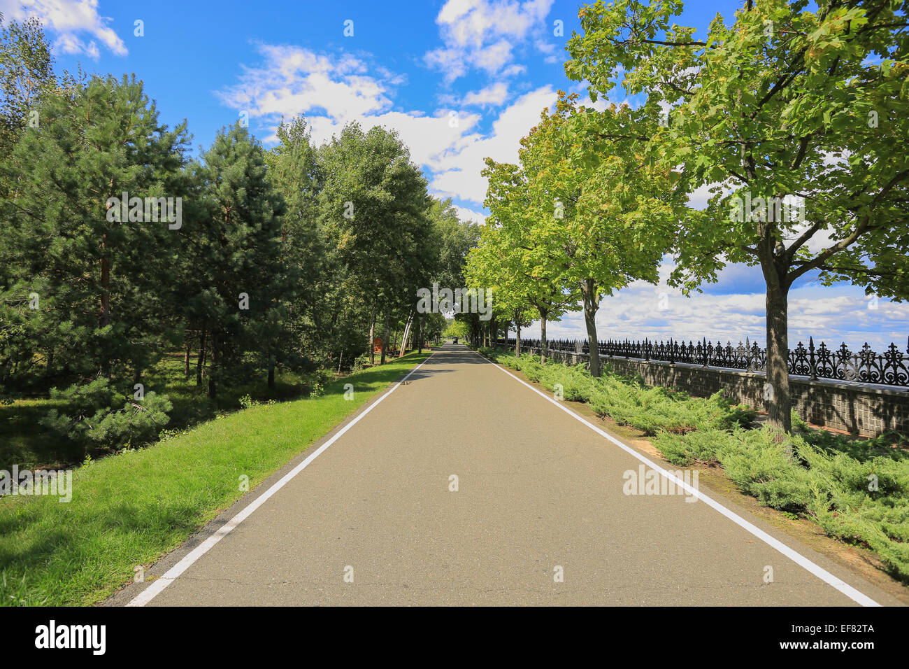 Pathway road roadway road way hi-res stock photography and images - Alamy