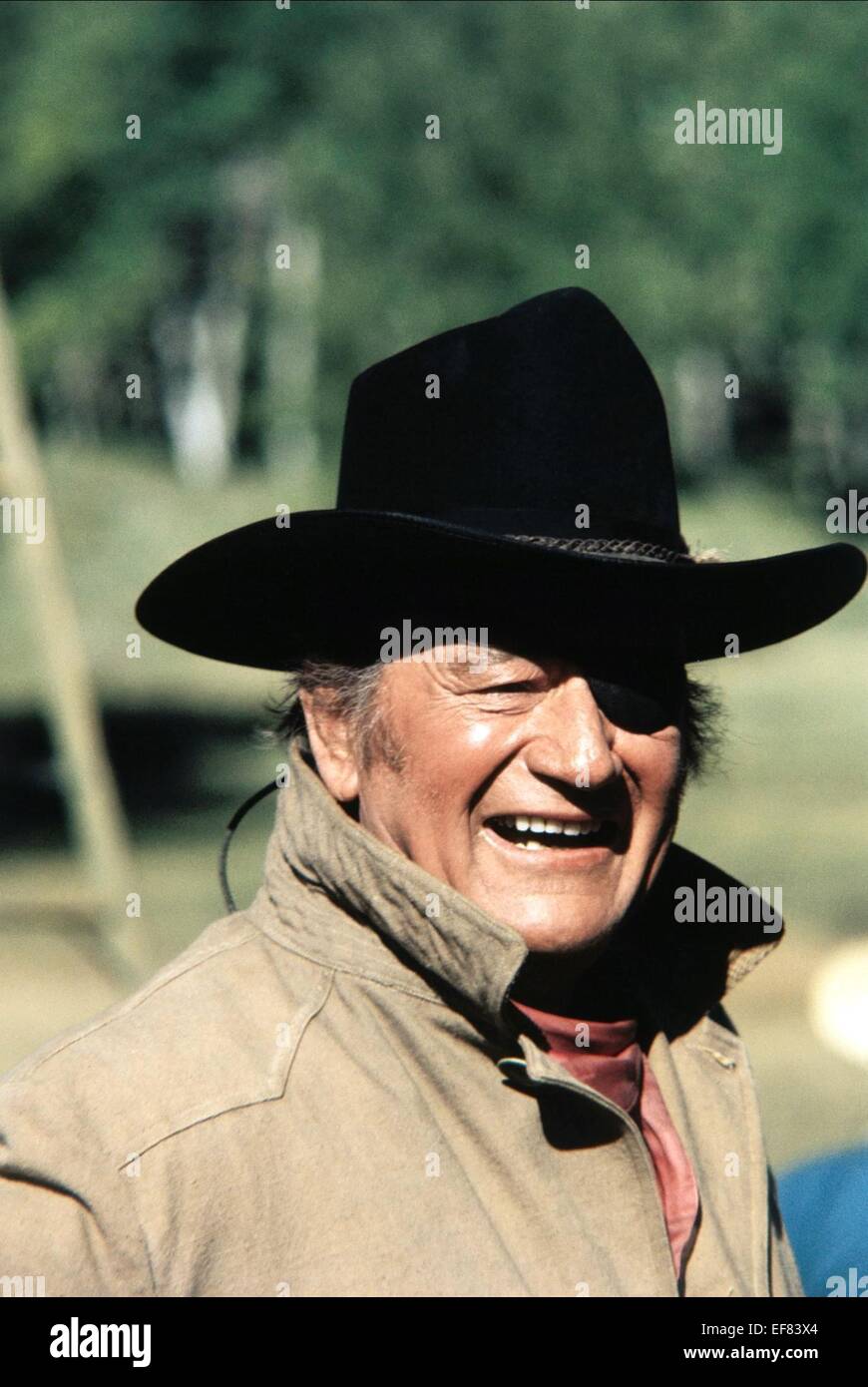 True Grit (1969) Stock Photos & True Grit (1969) Stock Images - Alamy