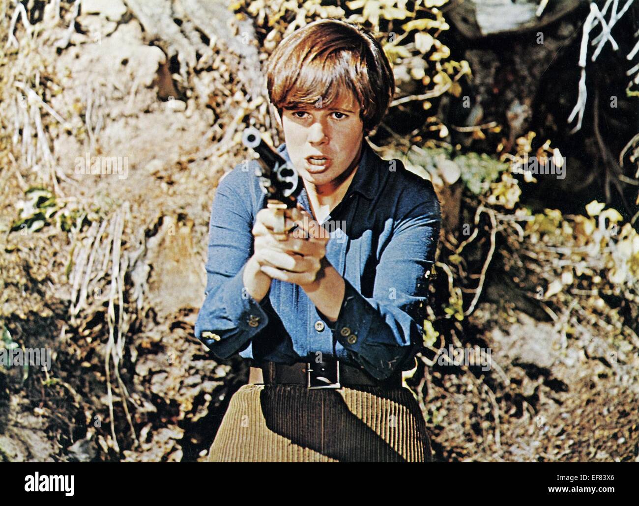 Kim Darby High Resolution Stock Photography and Images - Alamy