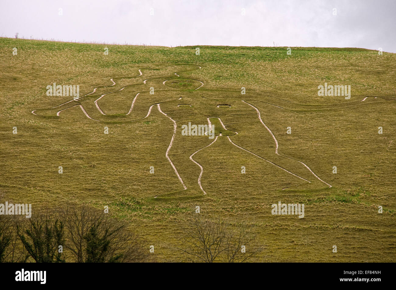 Cerne Abbas Giant, Dorset Stock Photo - Alamy