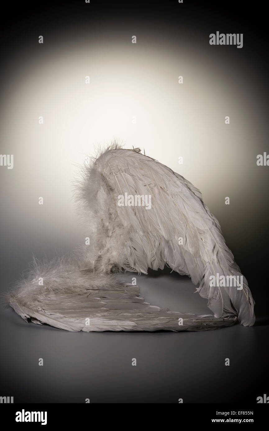 angel's wings on white background with glow - looks like a fallen angel ...