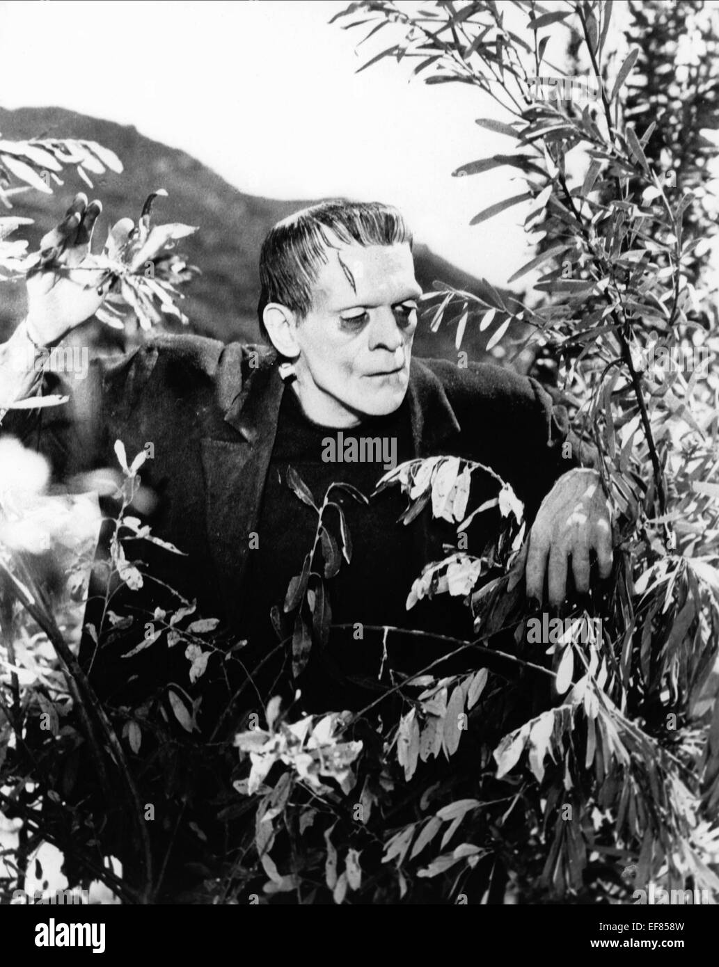 Boris karloff in frankenstein Black and White Stock Photos & Images - Alamy