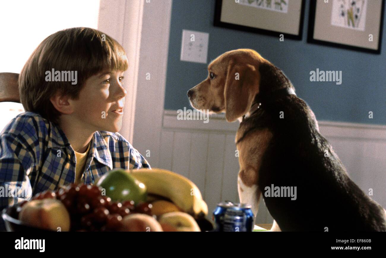 ALEXANDER POLLOCK & LOU CATS & DOGS (2001 Stock Photo: 78241643 - Alamy