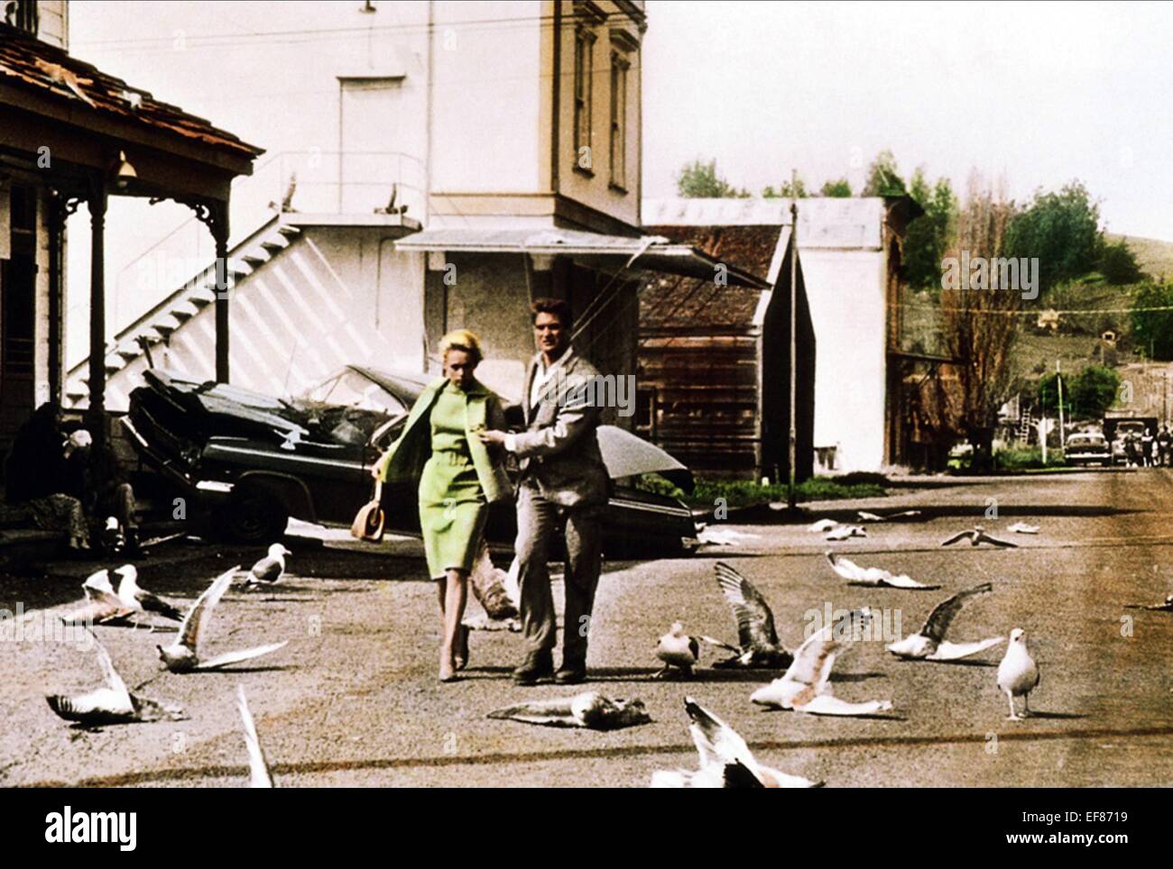 Birds 1963 Rod Taylor High Resolution Stock Photography and Images - Alamy