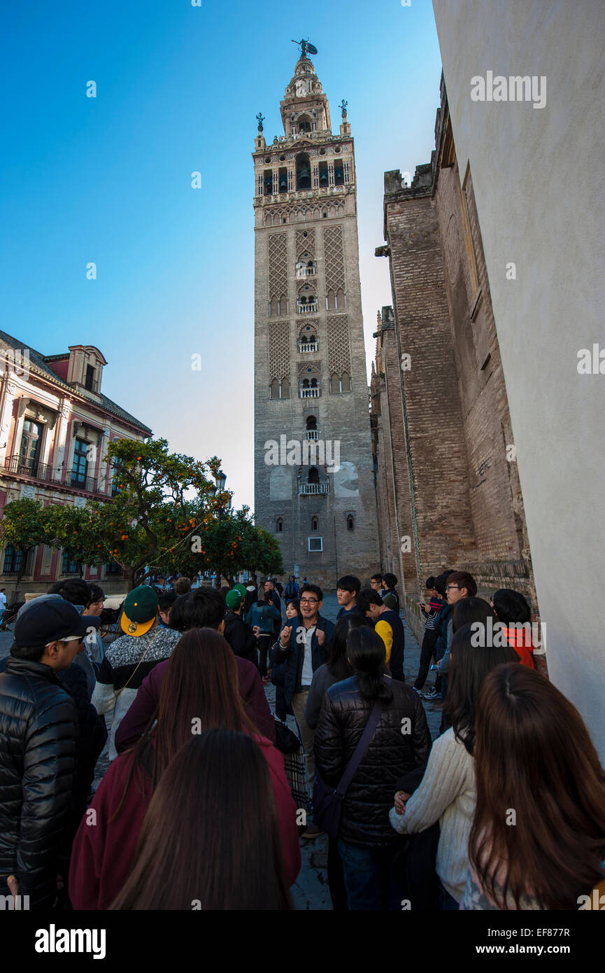 A crowd of people outside the Seville Cathedral, Spain Stock Photo - Alamy