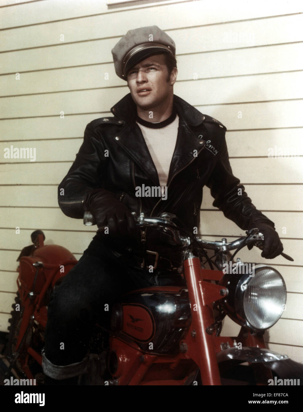 Marlon Brando Wild One High Resolution Stock Photography and Images - Alamy