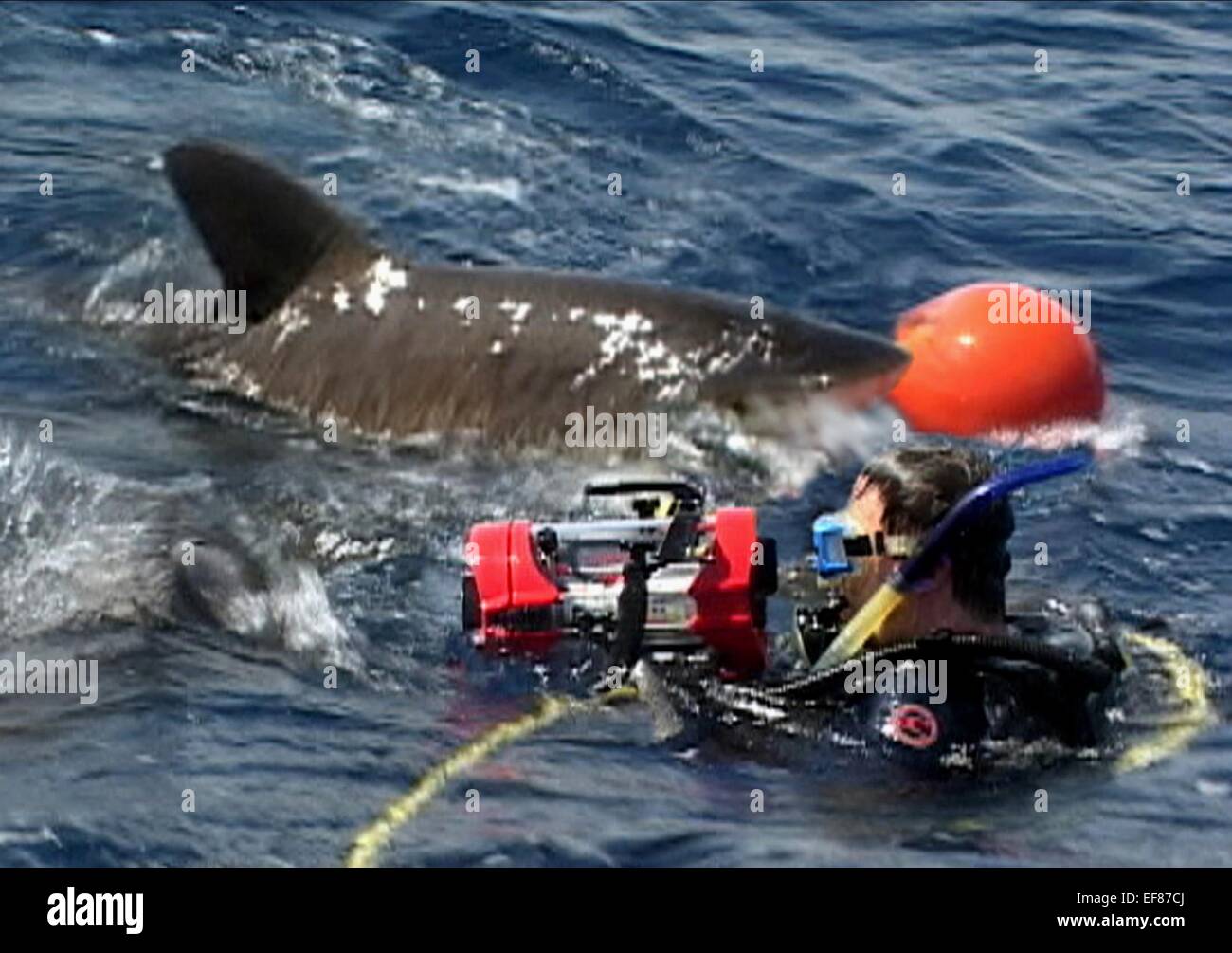 Daniel Travis High Resolution Stock Photography and Images - Alamy