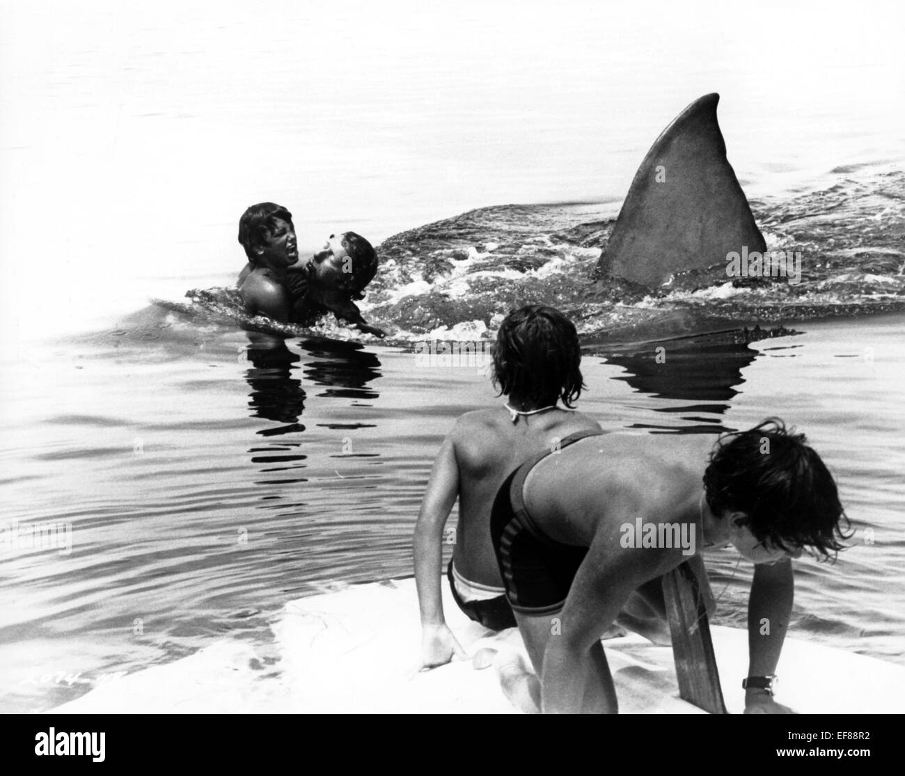 Jaws Steven Spielberg Black and White Stock Photos & Images - Alamy