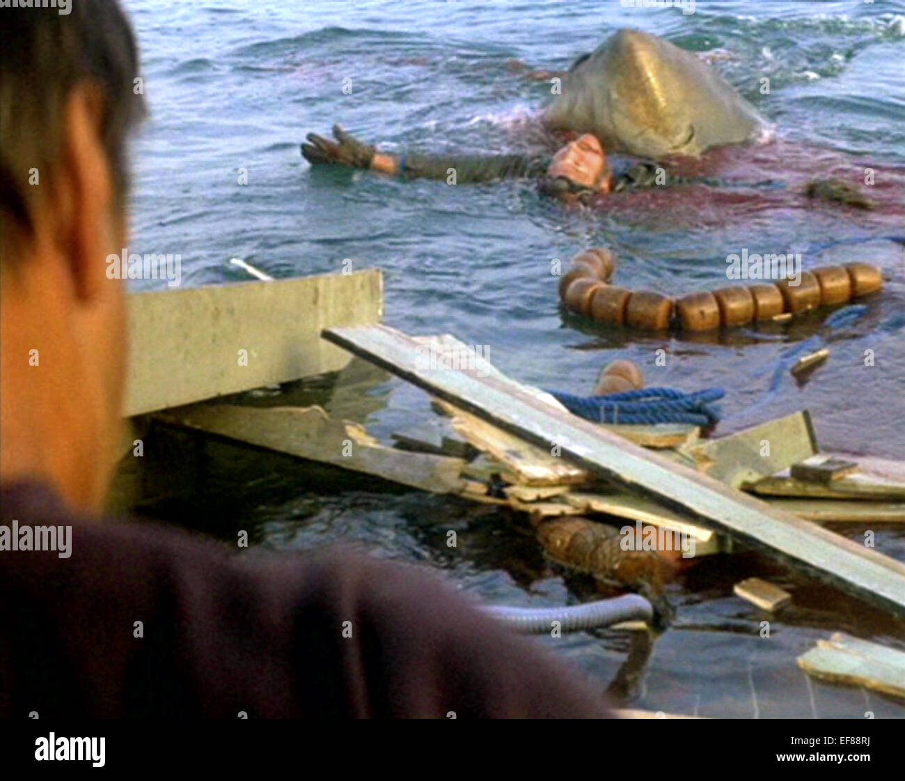 Jaws 1975 Directed Steven Spielberg High Resolution Stock Photography and Images - Alamy