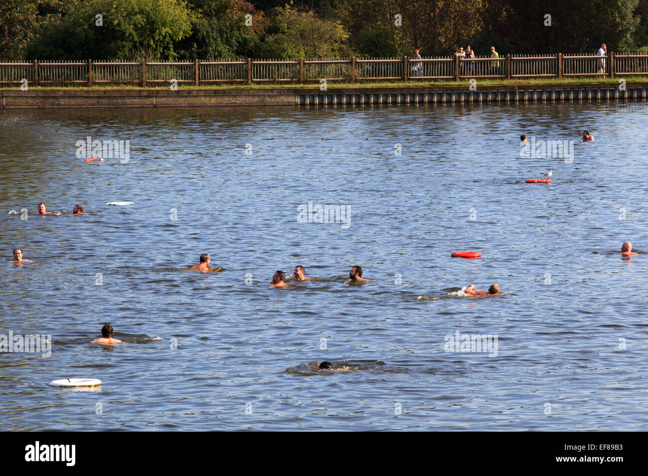 Hampstead pond men's hi-res stock photography and images - Alamy