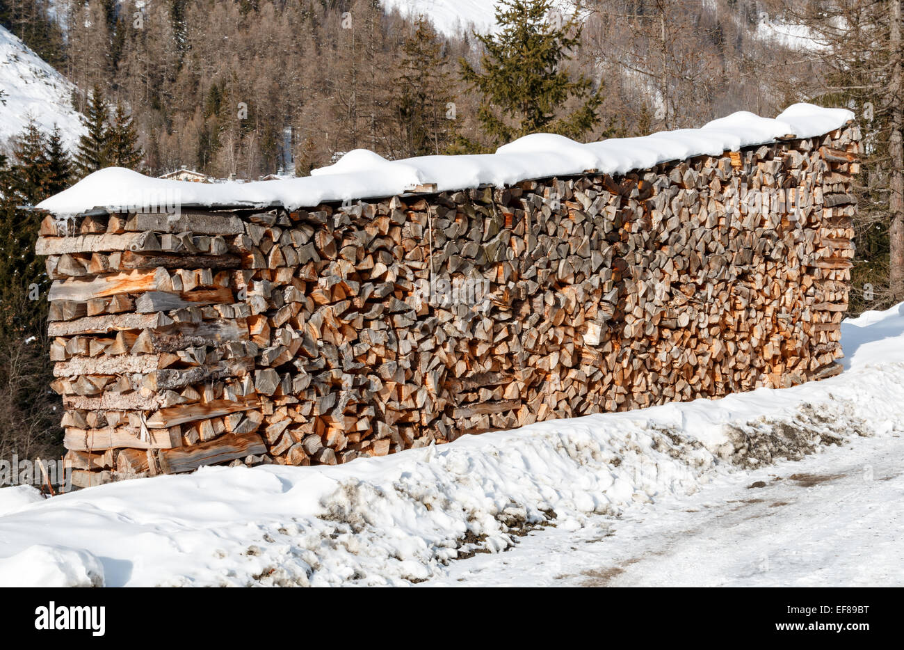Cut firewood winter fuel log pile in an alpine setting. Stacked with ...
