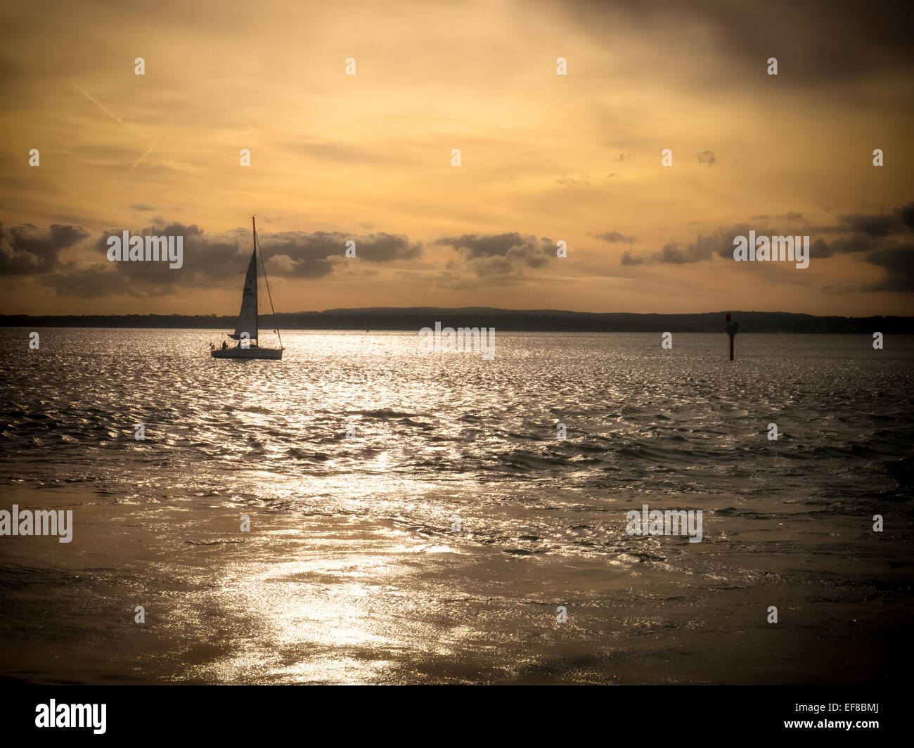 a yacht at sunset on the Solent with the Isle of Wight in the ...