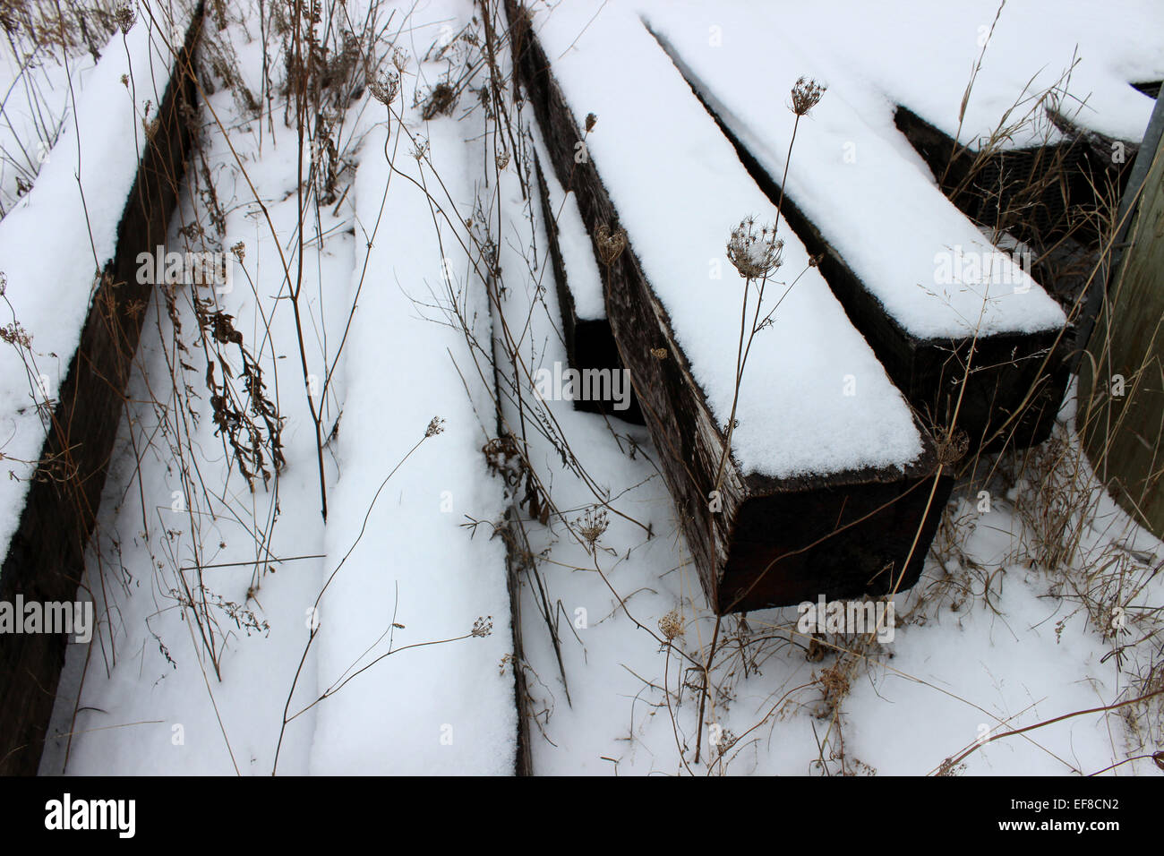 Garden sleepers High Resolution Stock Photography and Images - Alamy