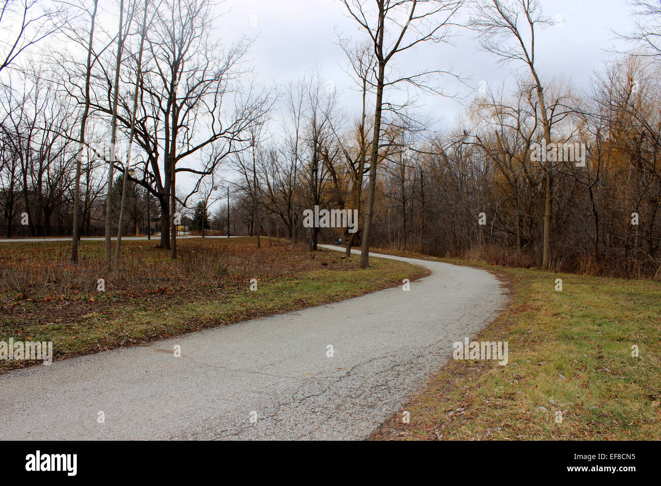 Solitary tree growth form hi-res stock photography and images - Alamy