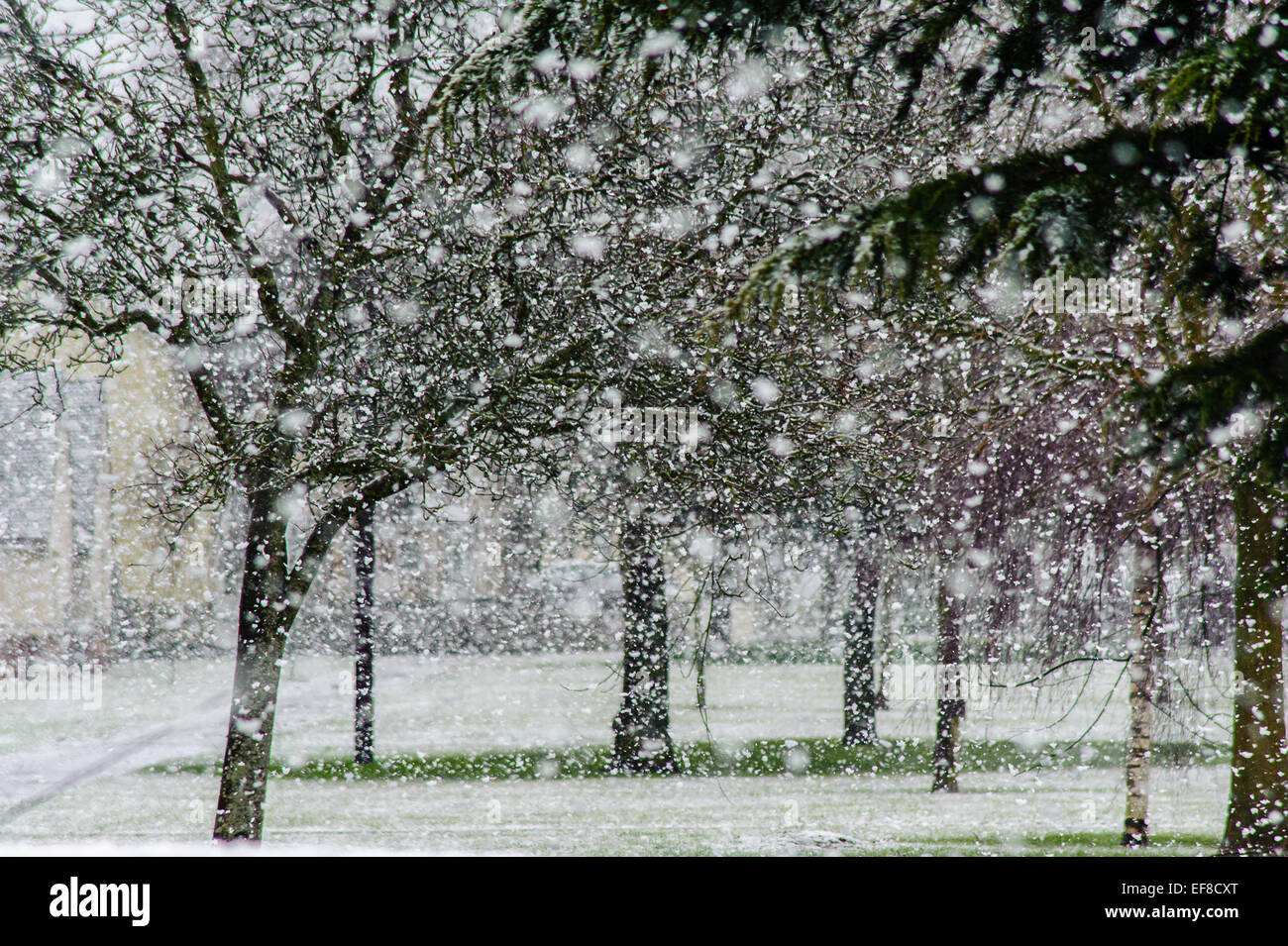 Salisbury wiltshire snow hi-res stock photography and images - Alamy