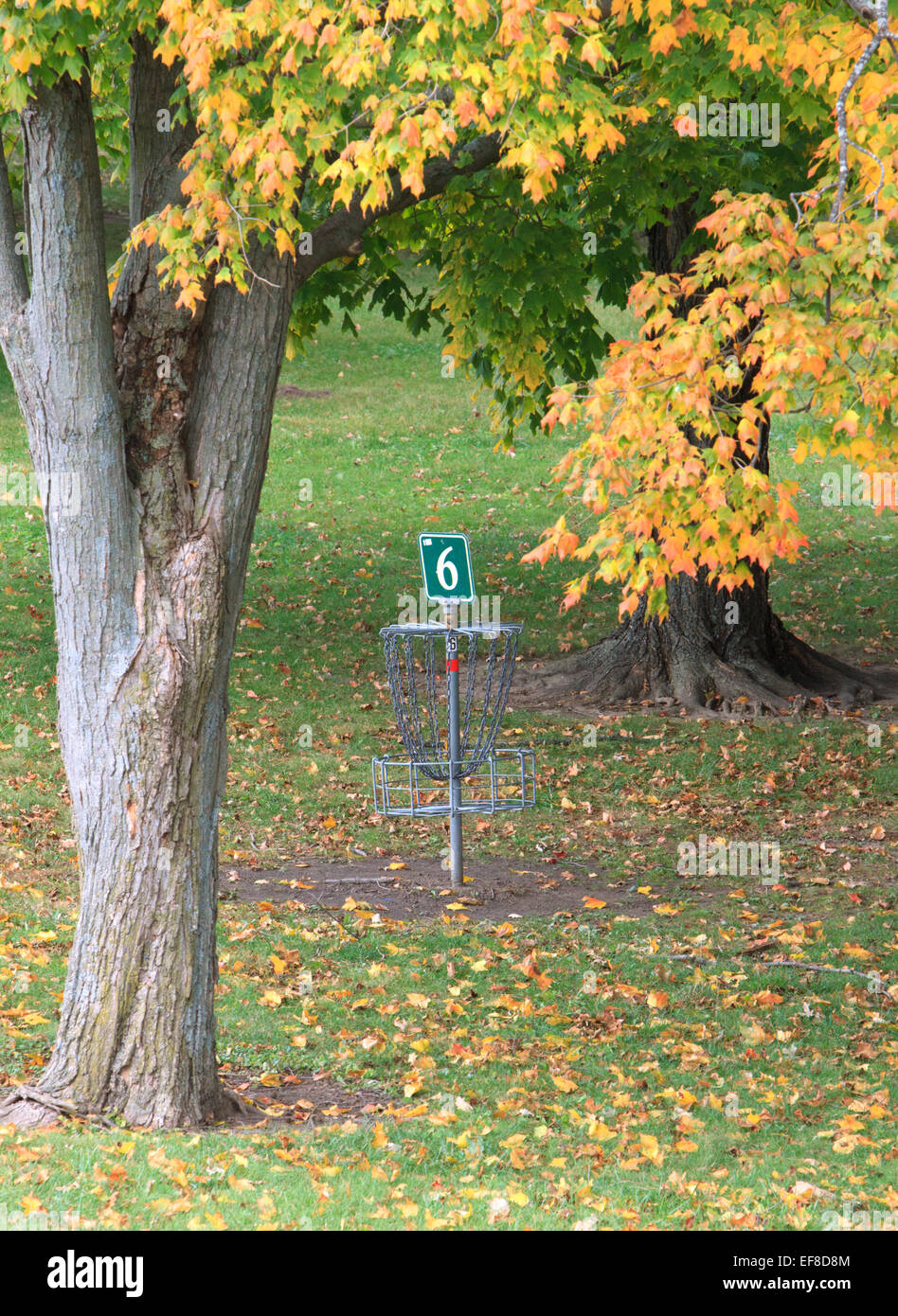 Frisbee golf hole Stock Photo - Alamy