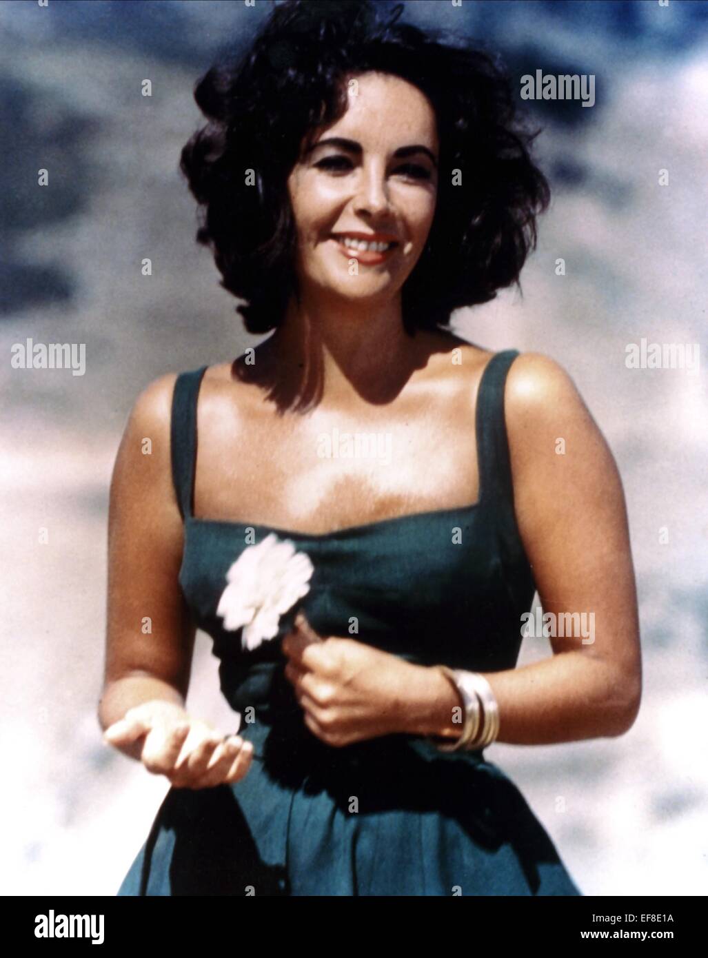 Elizabeth Taylor Giant