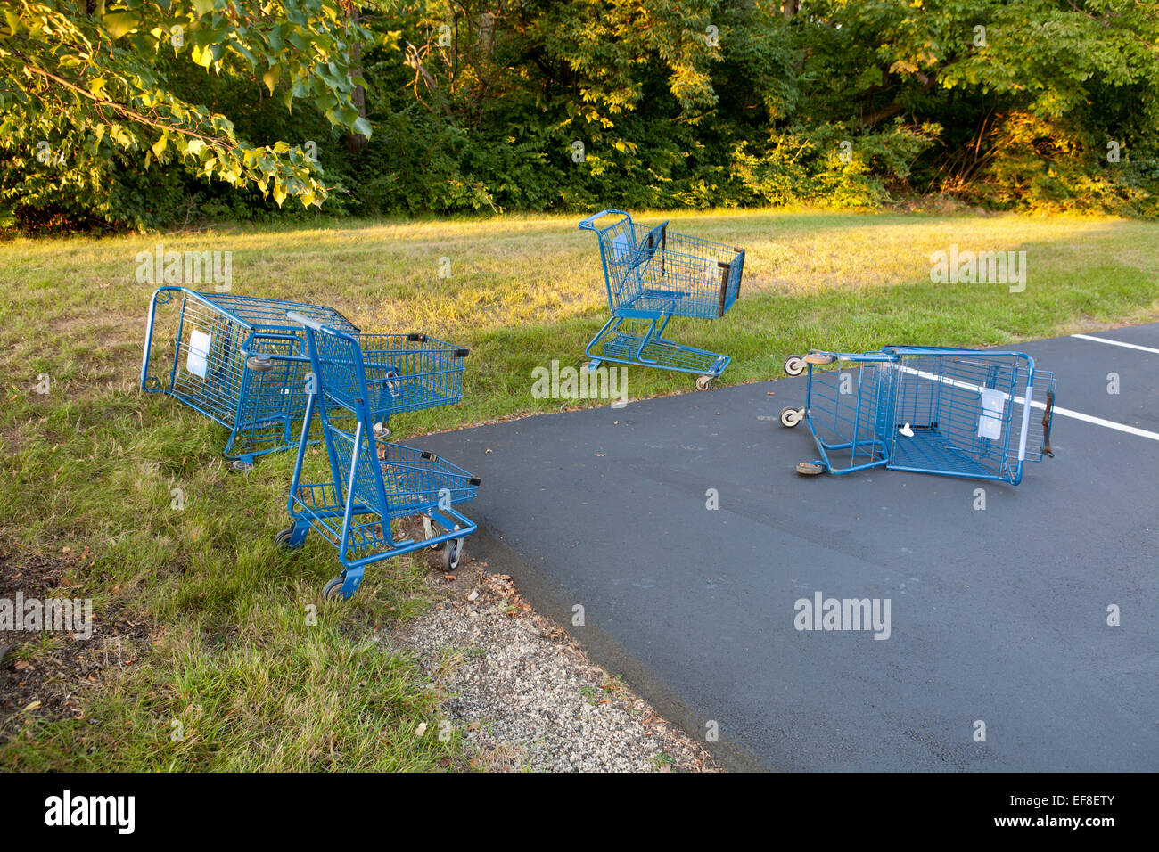 Parking lot carts hi-res stock photography and images - Alamy