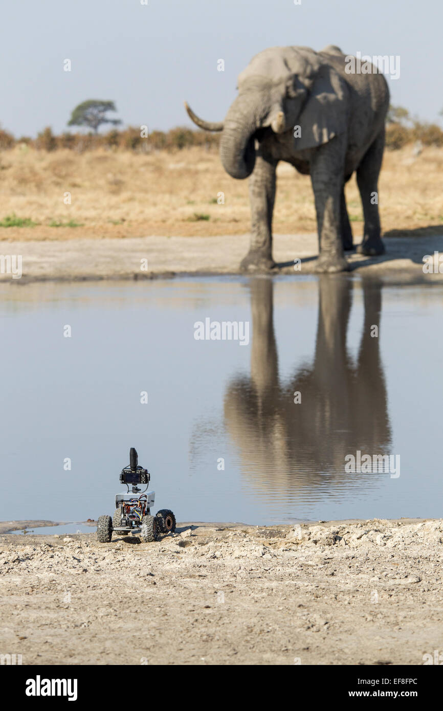 Africa, Botswana, Chobe National Park, Remote control rover carries ...
