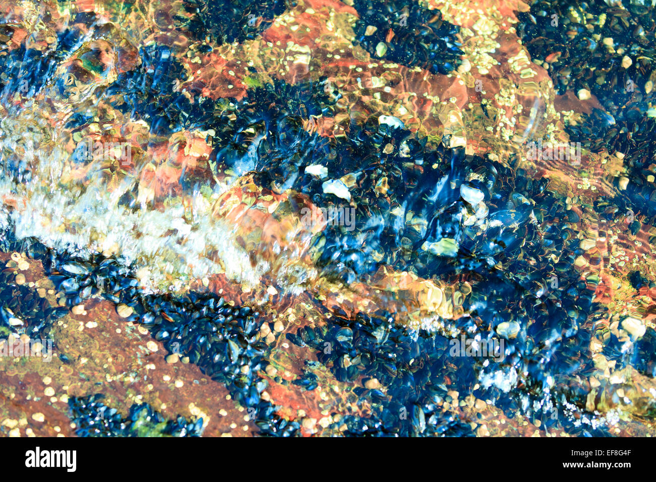 Abstract design texture background. Shells in water Stock Photo - Alamy