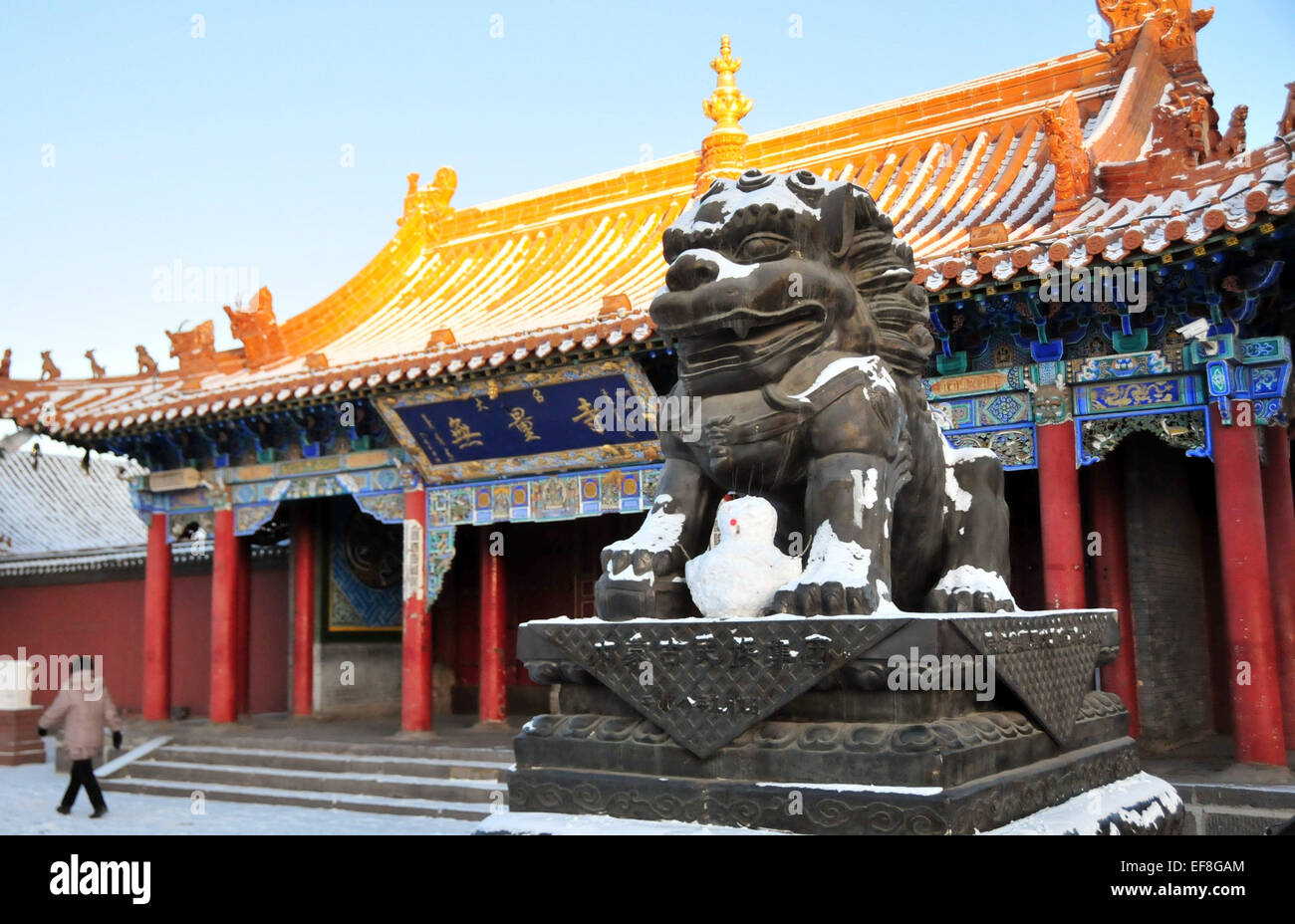 Hohhot, China's Inner Mongolia Autonomous Region. 29th Jan, 2015. A ...