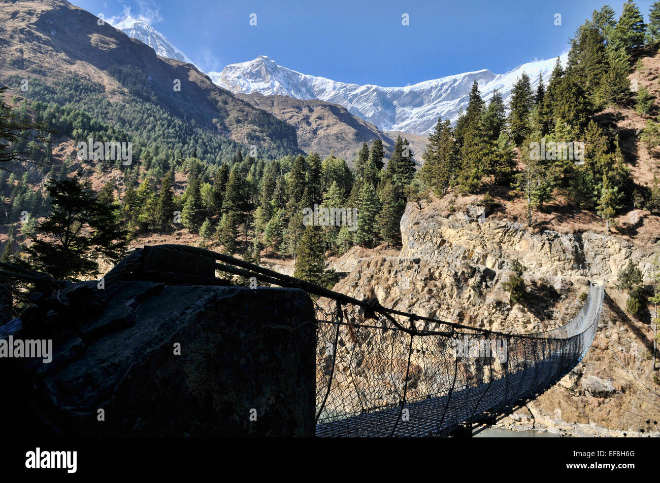 Suspension bridge along a Annapurna Himalayan Range in Nepal Stock ...