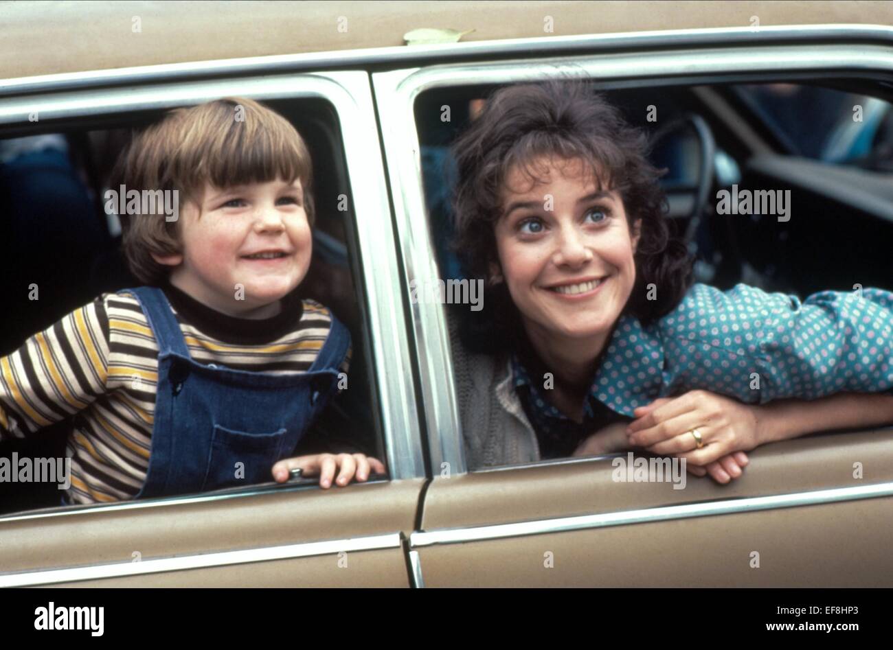 Huckleberry Fox High Resolution Stock Photography and Images - Alamy