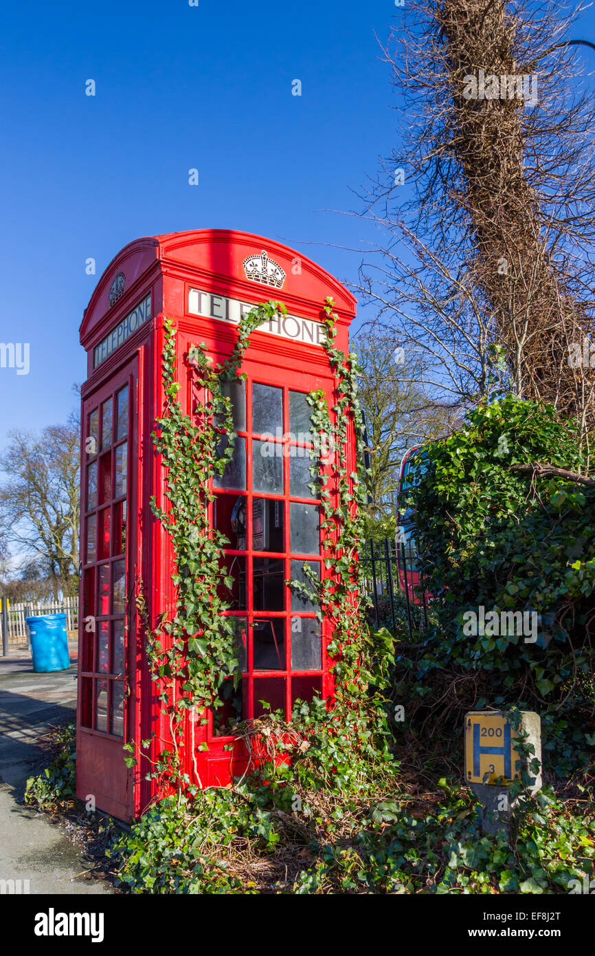 An Overgrown London Phone Box Stock Photo Alamy an-overgrown-london-phone-box-stock-photo-alamy