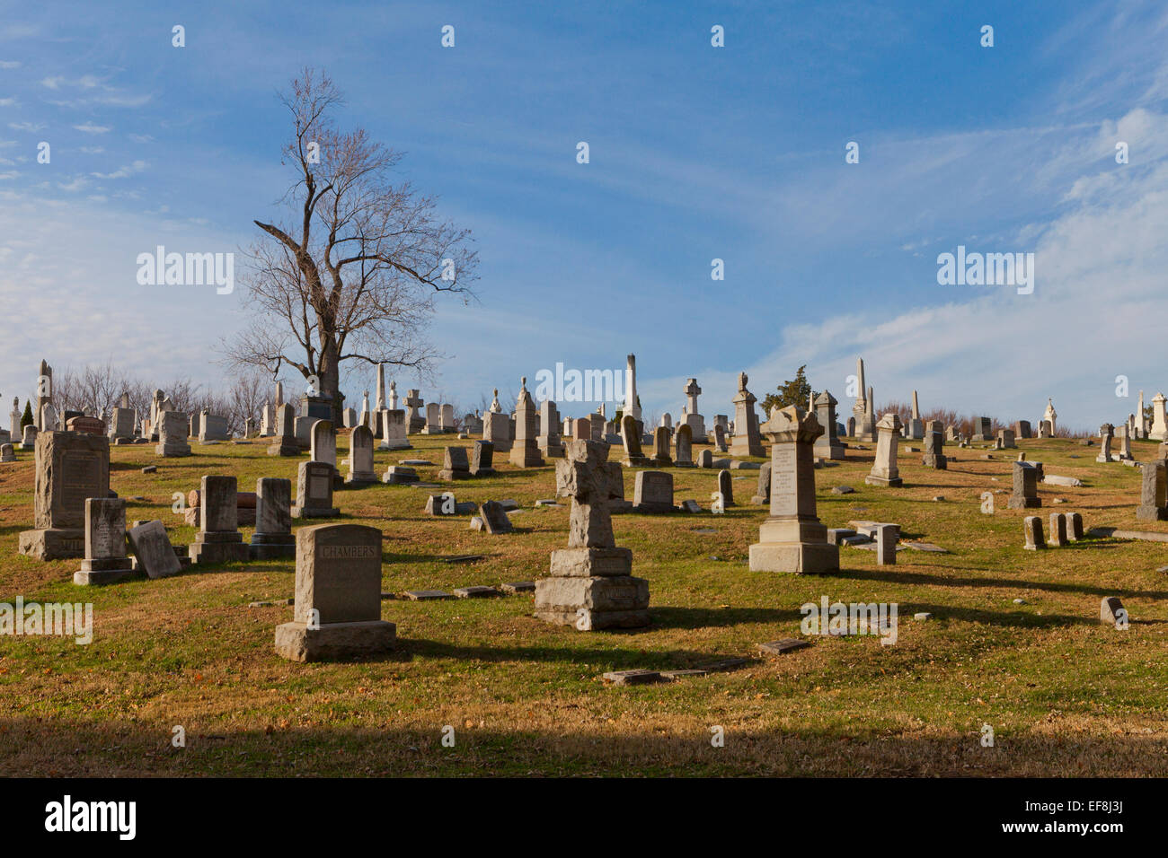 Congressional cemetery - Washington, DC USA Stock Photo - Alamy