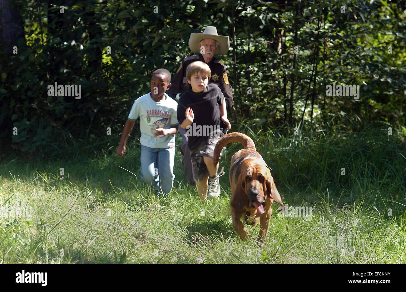 Air Buddies Die Welpen Sind Los High Resolution Stock Photography and ...