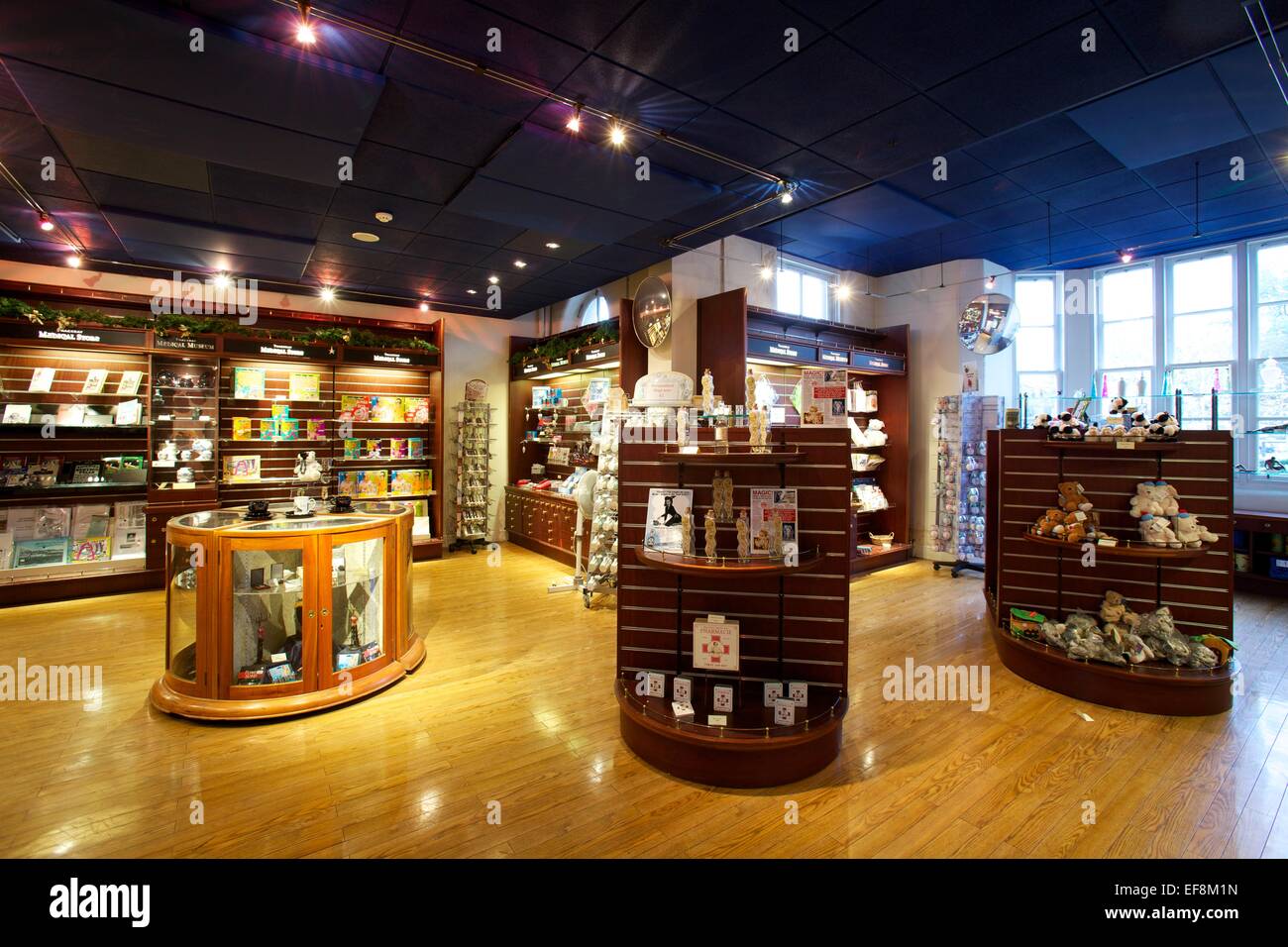 Medical museum hi-res stock photography and images - Alamy