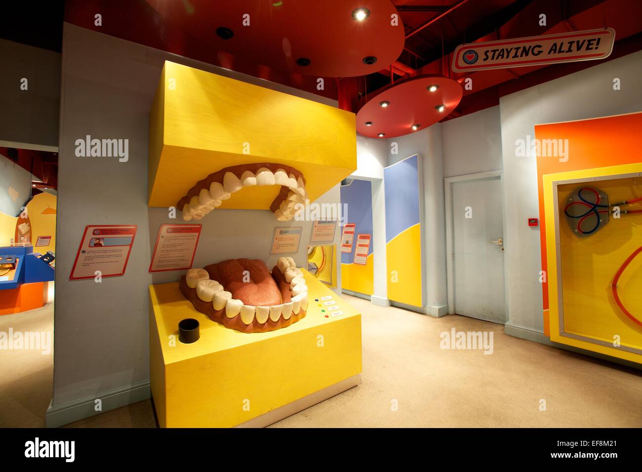 Image of the inside of thackray medical museum hi-res stock photography ...