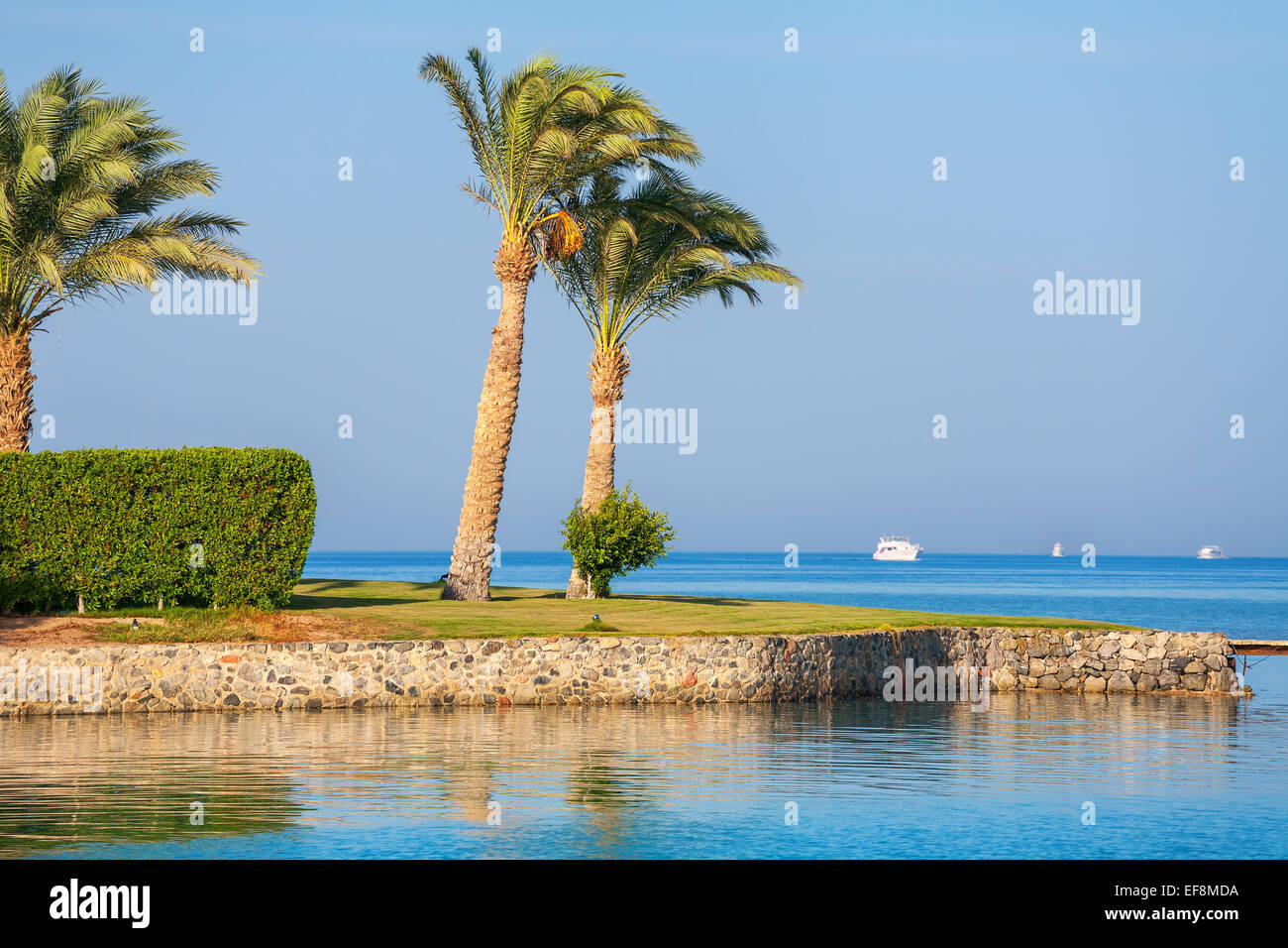 Red Sea coast. Egypt Stock Photo - Alamy