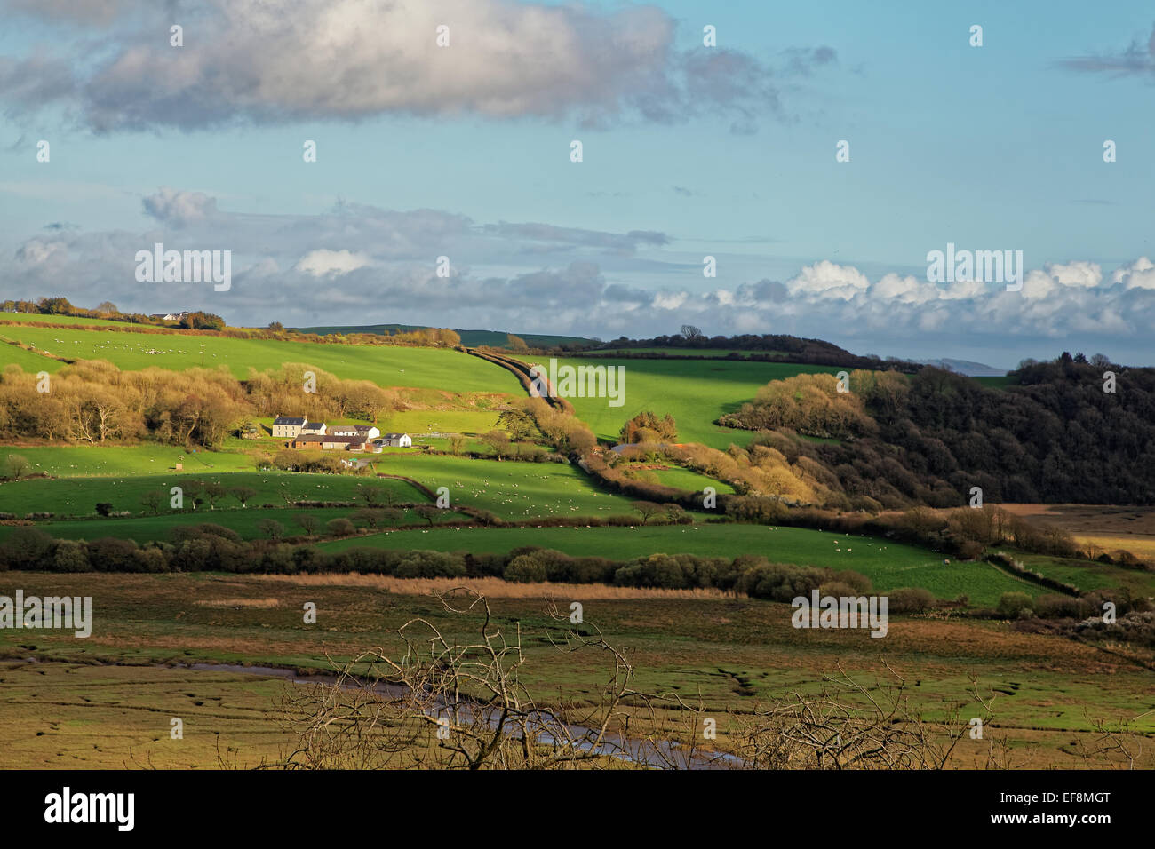 Taff valley hi-res stock photography and images - Alamy