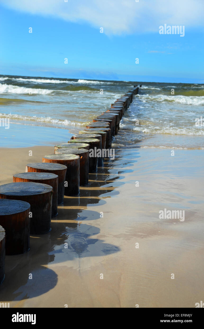 Baltic coast with wooden piles breakwater Stock Photo - Alamy