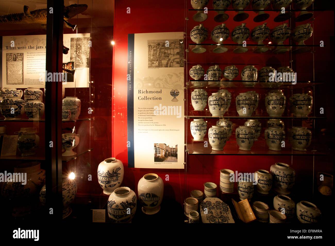 Medical Museum High Resolution Stock Photography and Images - Alamy