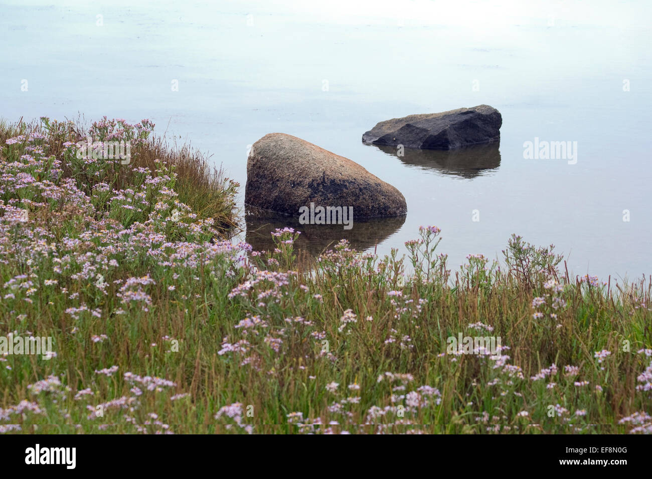 Bank rocks hi-res stock photography and images - Alamy
