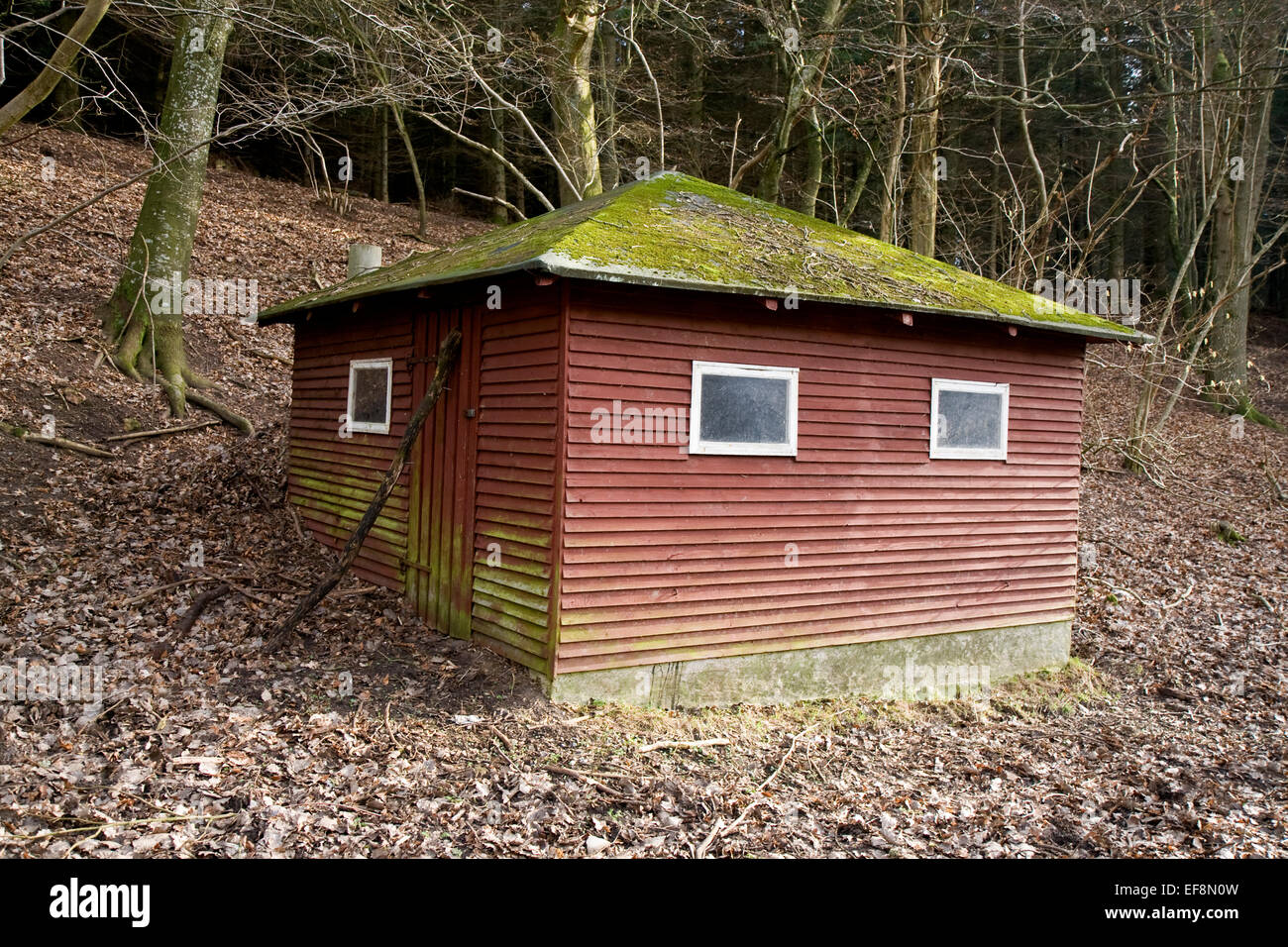Shack forest hi-res stock photography and images - Alamy