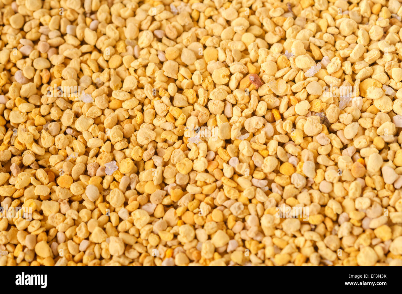 Frame of pollen hi-res stock photography and images - Alamy