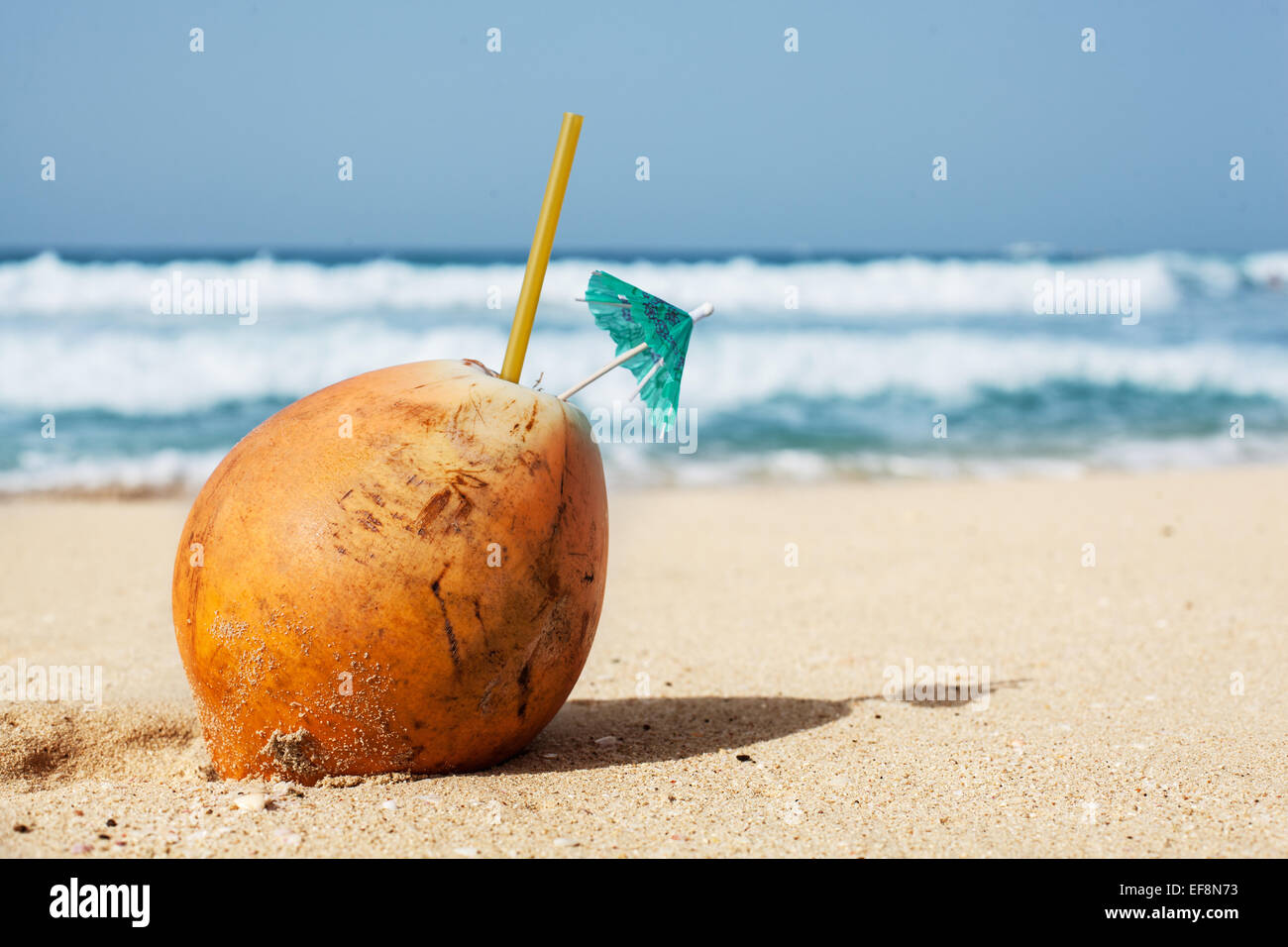 Coconut water nut on the beach Stock Photo - Alamy