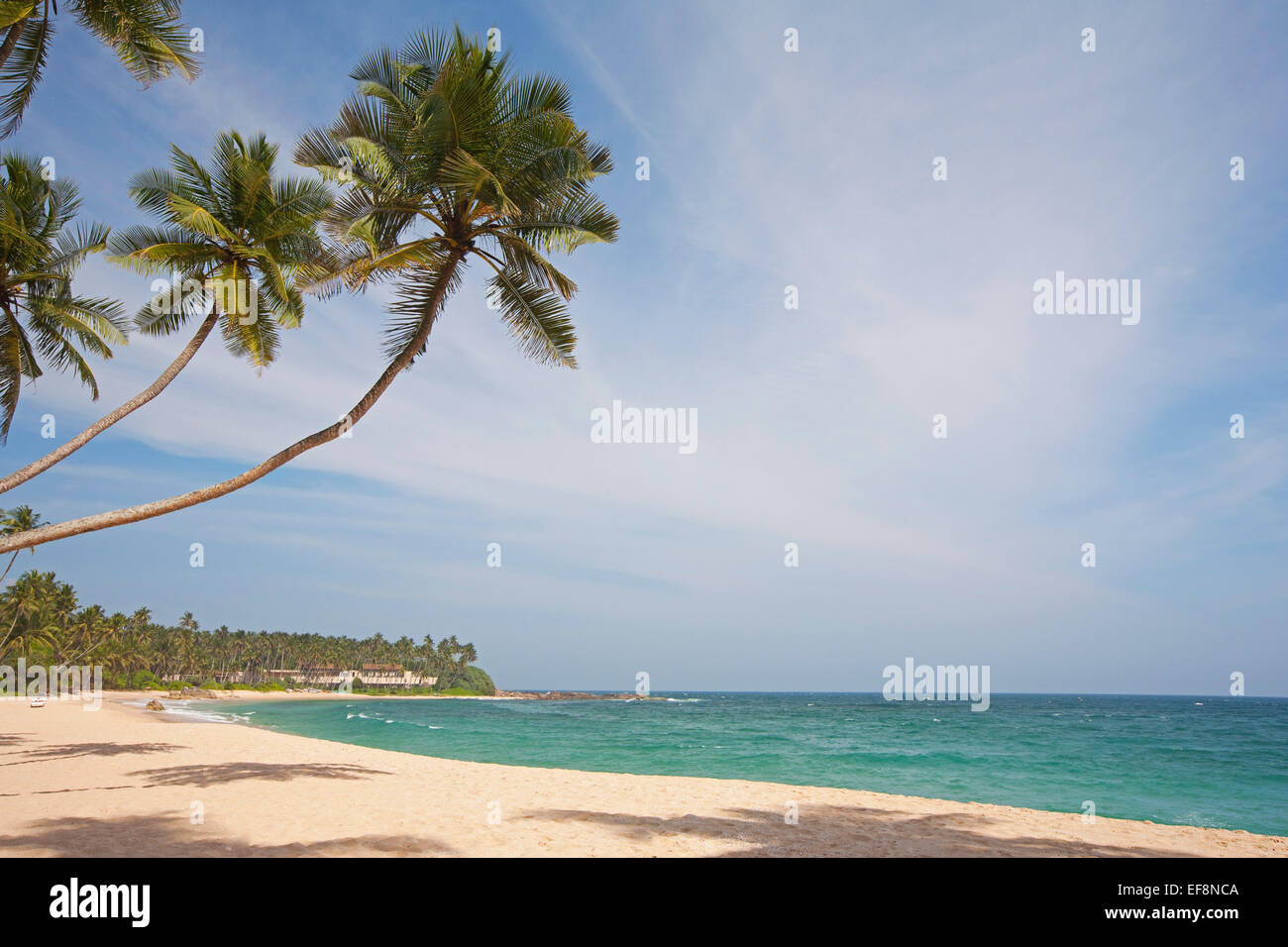 Tangalla High Resolution Stock Photography and Images - Alamy